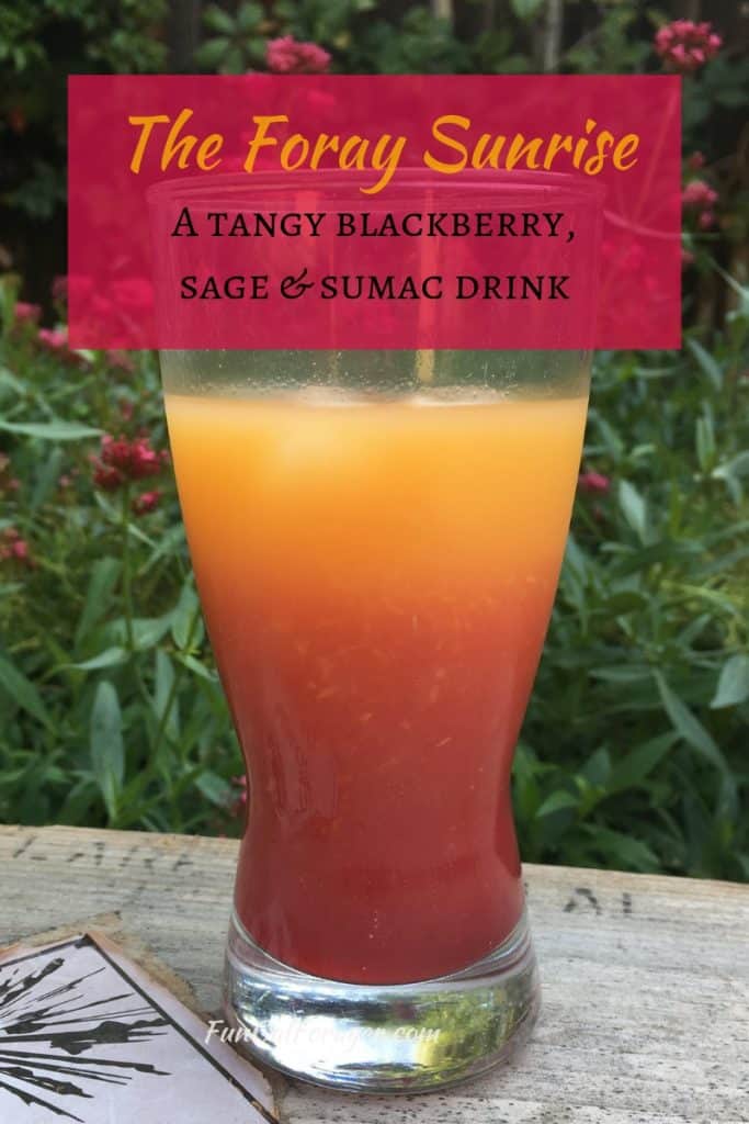 Foraged Sumac Mocktails Three Ways | The FunGal Forager