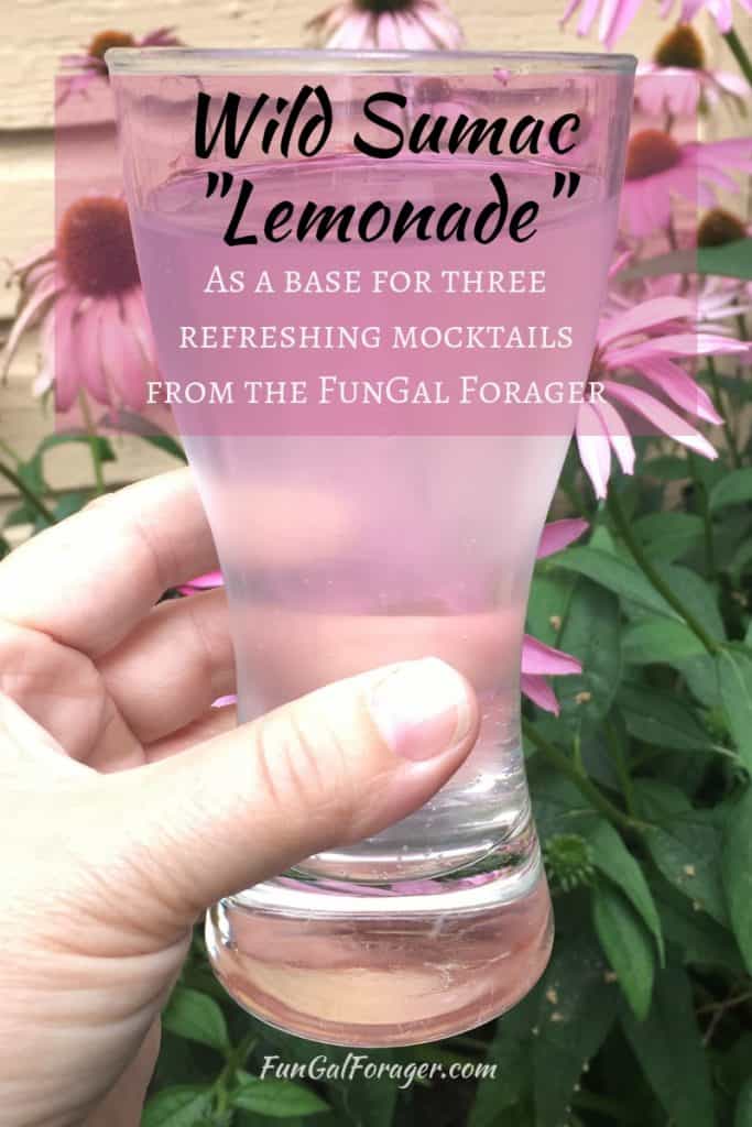 Foraged Sumac Mocktails Three Ways | The FunGal Forager